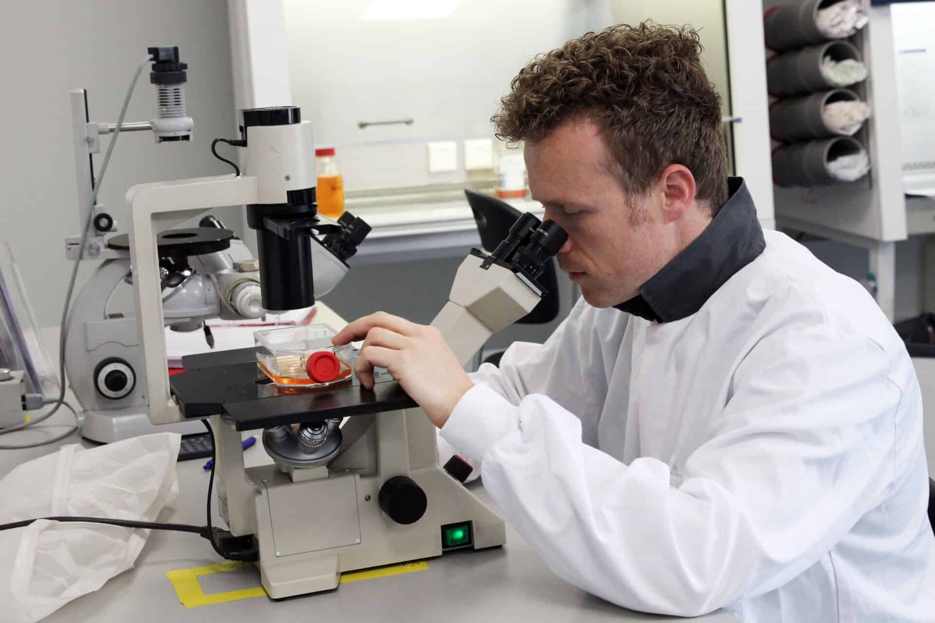 Biocult research, manufacturing of antibodies and assays - Hycult Biotech