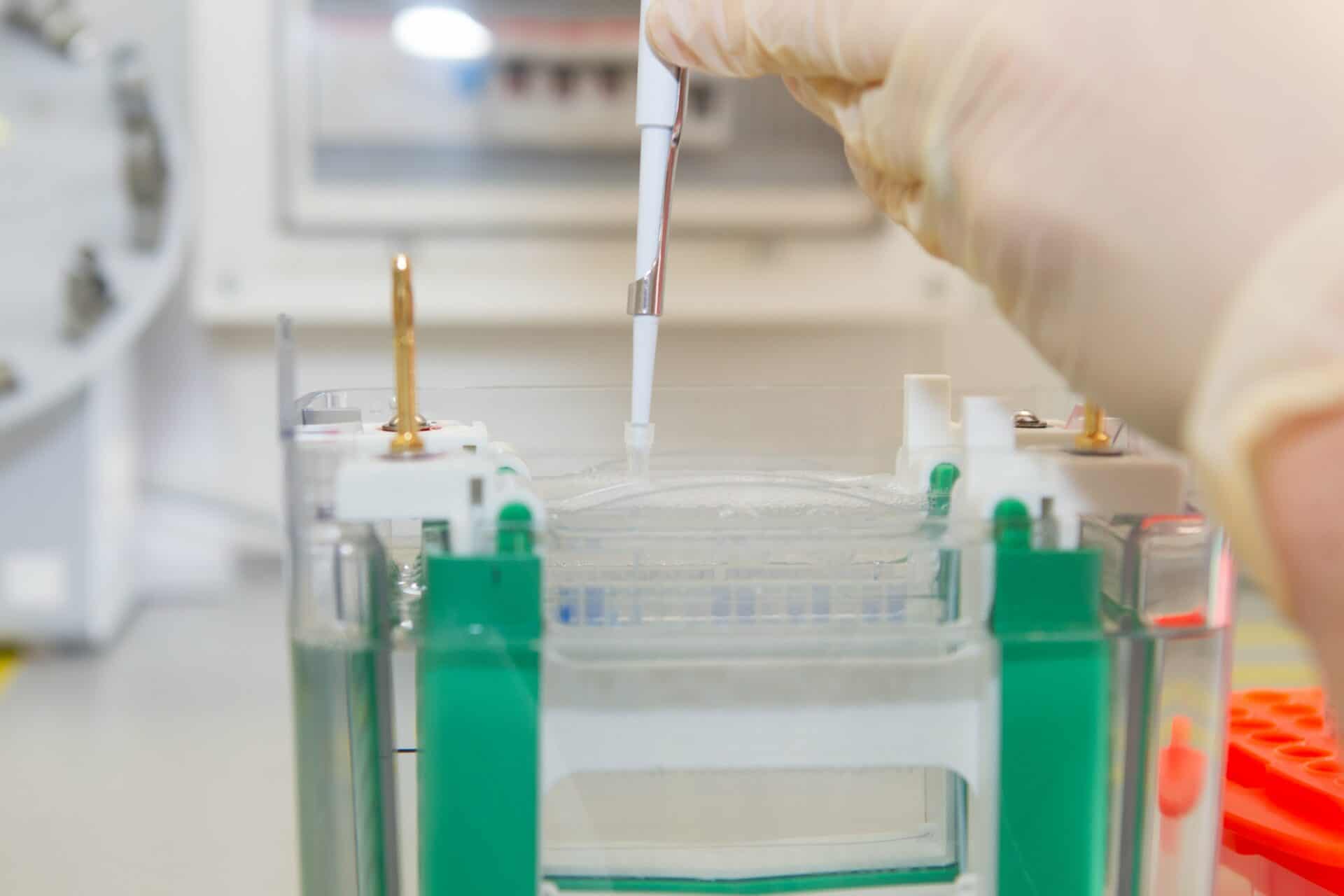 Biocult research, manufacturing of antibodies and assays - Hycult Biotech