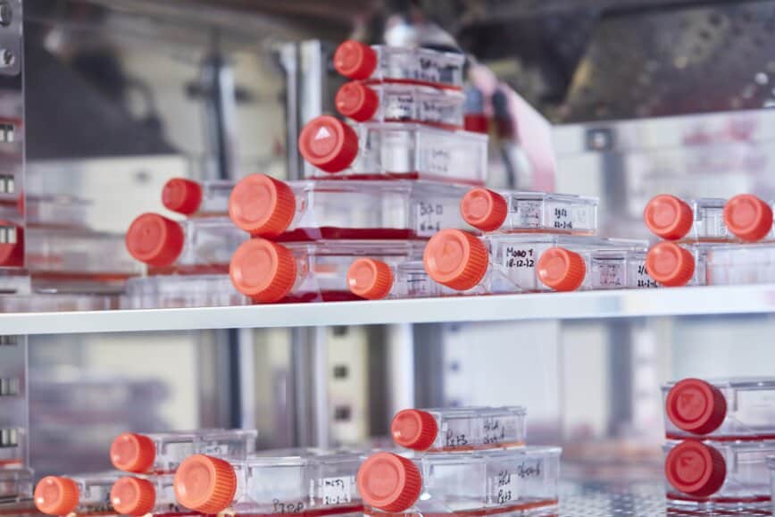Biocult research, manufacturing of antibodies and assays - Hycult Biotech