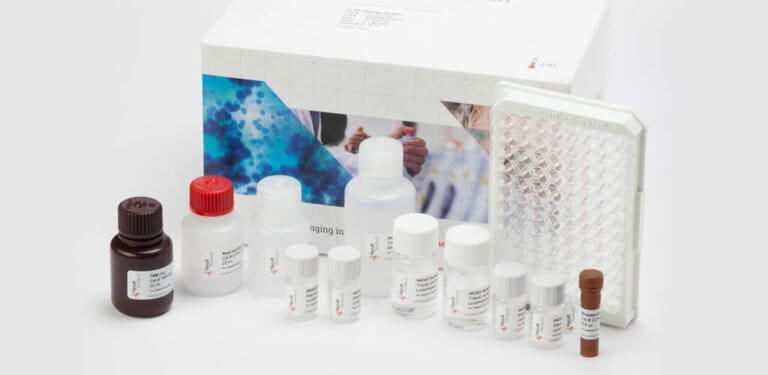 ELISA calculation sheet - Hycult Biotech