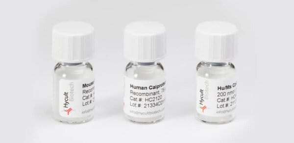 ELISA calculation sheet - Hycult Biotech