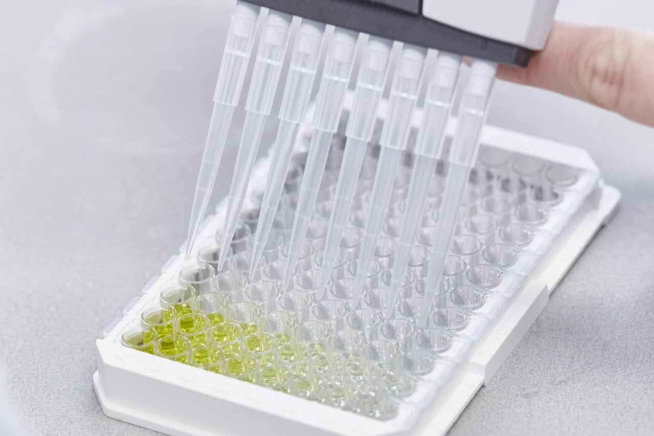Sandwich ELISA test - Hycult Biotech