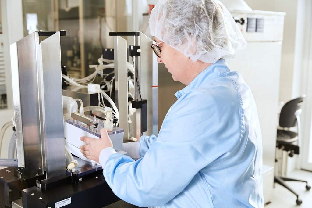 Western Blotting - Hycult Biotech