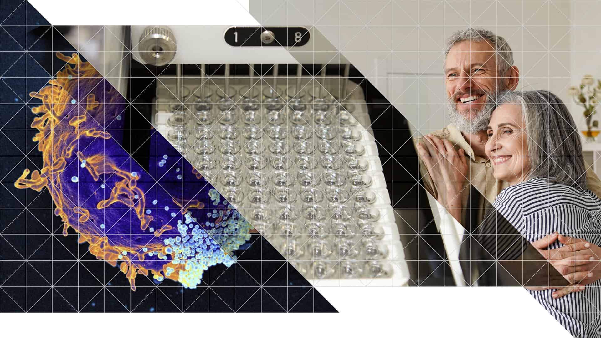 TCC or MAC; a Bit of Both - Hycult Biotech
